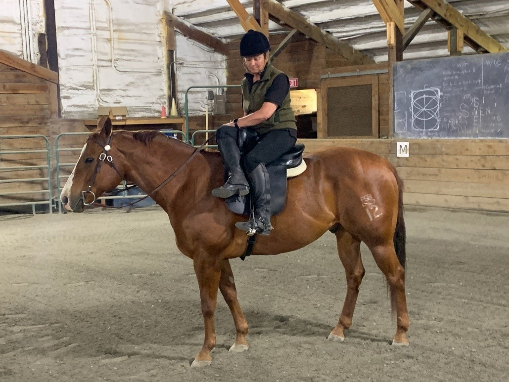 Meet Our Ranch Ride Carriage Drive Horses: Tex – Ranch Ride Carriage ...