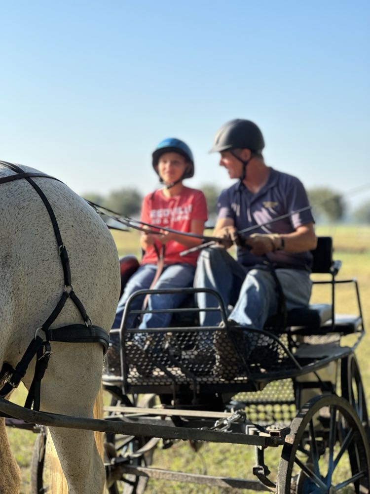 First Driving Lesson: Fun in the Cones – Ranch Ride Carriage Drive LLC