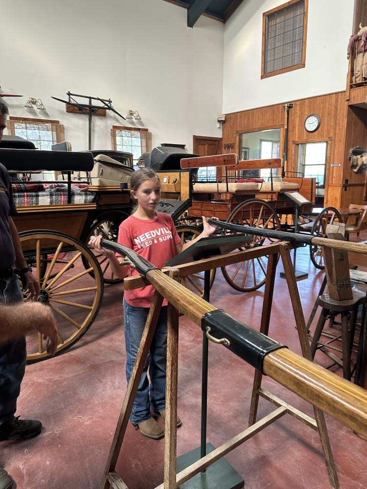 First Driving Lesson: Fun in the Cones – Ranch Ride Carriage Drive LLC