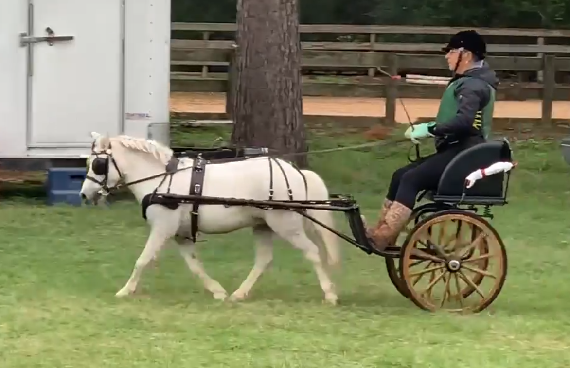 Driving Trials With the Houston Area Carriage Association – Ranch Ride ...
