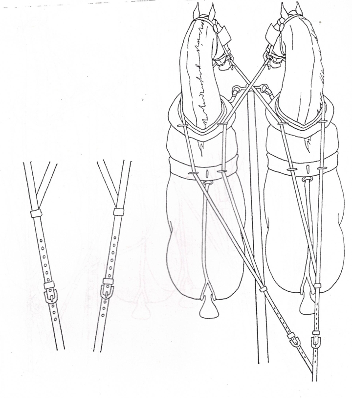 The Importance of Proper Rein Adjustments – Ranch Ride Carriage Drive LLC