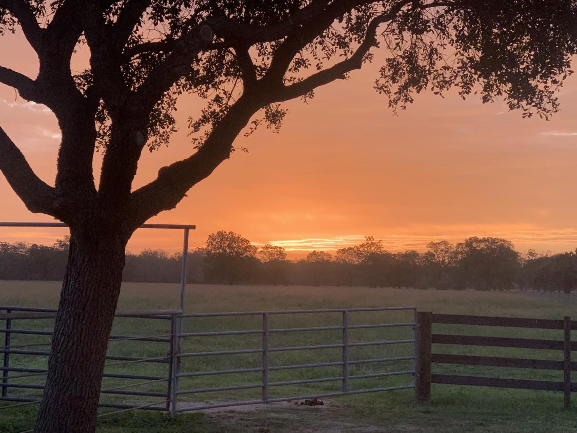 Ranch Ride Carriage Drive Looks Ahead to a Fabulous 2024! – Ranch Ride ...
