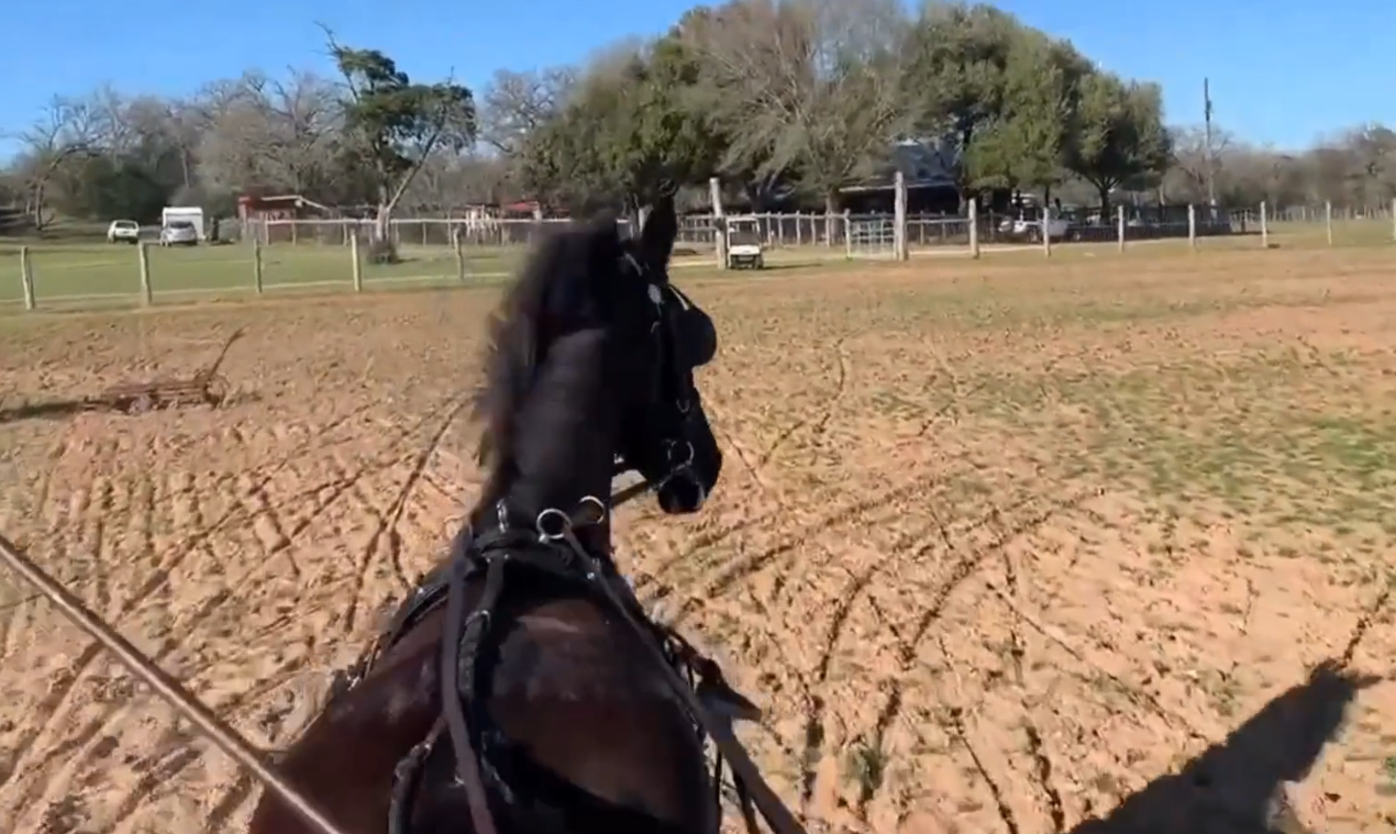 Ranch Ride Carriage Drive Goes Visiting! – Ranch Ride Carriage Drive LLC