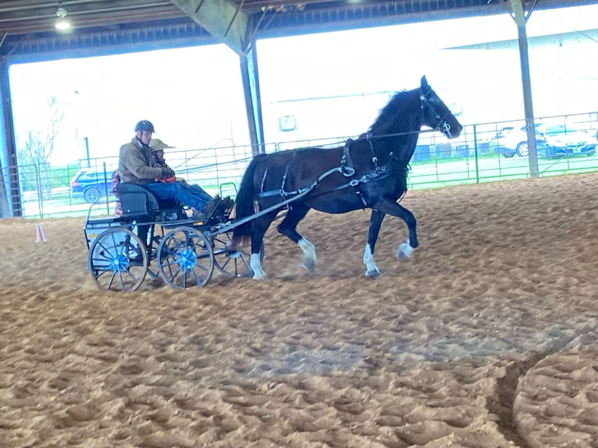 Ranch Ride Carriage Drive Celebrates Its First Year in Business ...