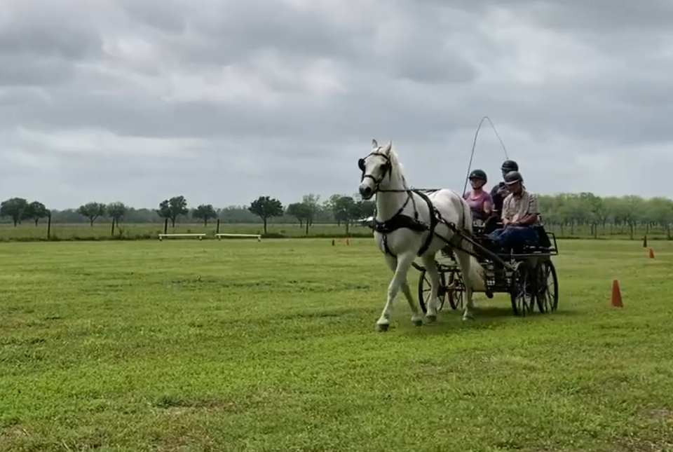 Ranch Ride Carriage Drive Private Driving Clinic April 2024 – Ranch ...